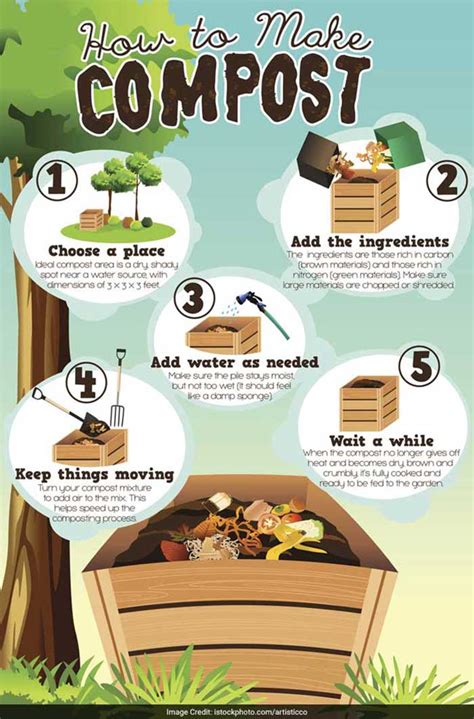 How To Use Compost And Mulch At Amanda Obrien Blog