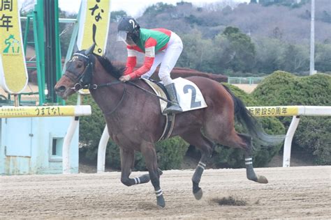 【佐賀・jra交流グリーンc】今村聖奈騎乗 シャウラが7馬身差圧勝 競馬ニュースなら競馬のおはなし
