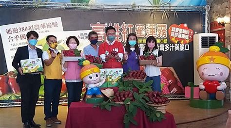 來自路竹的「台灣隱形冠軍」 郭大哥的高雄紅 蜜蓮霧 三週狂銷3000多盒 創新農法 果實海綿體超紮實、甜度破表、果肉多汁、口感超脆爽甜 議員