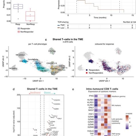 Tcr Sharing Confirms Cd8 Temra As Crucial Effector T Cells In The Tme