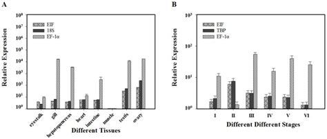 Expression Levels Of Vg Using Different Candidate Reference Genes For