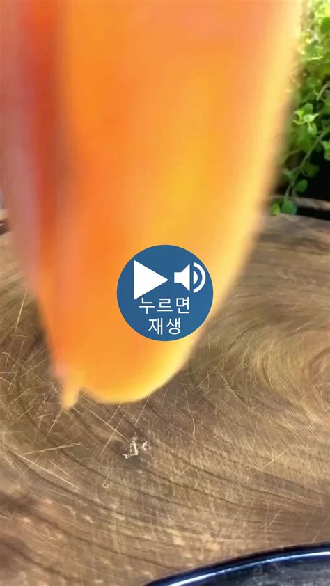 저녁으로 먹기에 좋은 음식 유머 움짤 이슈 에펨코리아