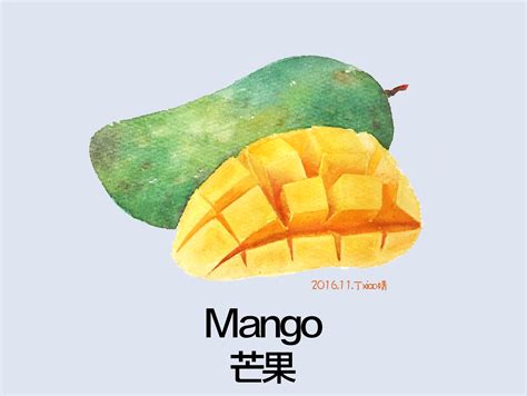 手绘水彩水果系列之芒果每日一图 丁小婧 站酷ZCOOL