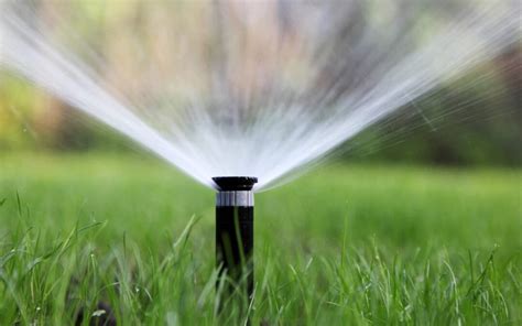 Choosing The Best Irrigation System Perth Reticulation Experts