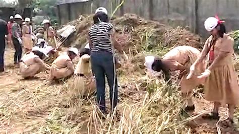 Mumbai Babes Participate In Tree Plantation Drive On Occasion Of Daan Utsav