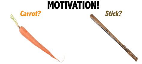 Ep14 What Motivates You The Carrot Or The Stick Live And Lead For