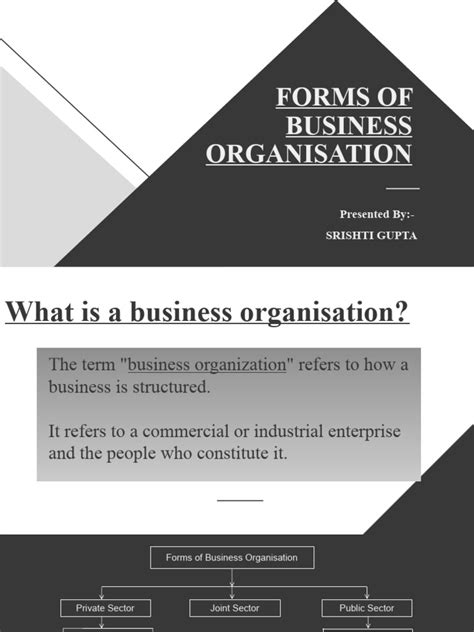 Business Organisation Pdf Partnership Joint Venture