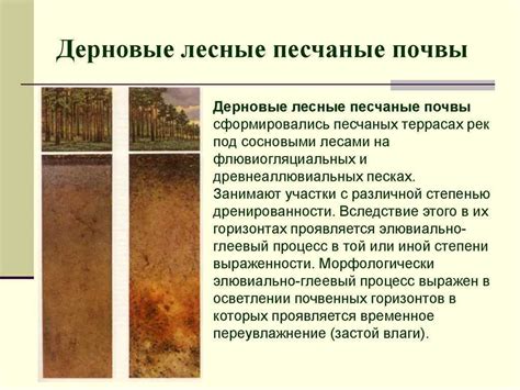 Дерновая земля что это такое, для чего нужна и где взять