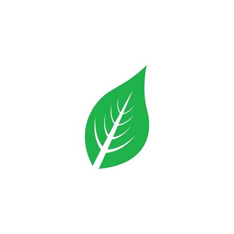 Eco Tree Leaf 13044817 Vector Art At Vecteezy