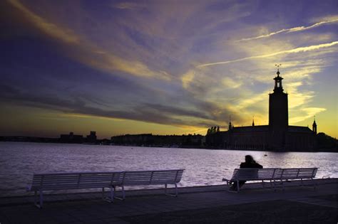 Chris Tozer Escape Into Life