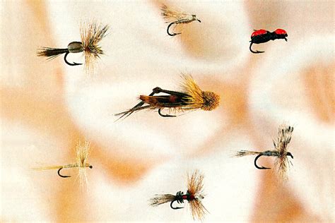 Fly Fisherman Throwback The Magnificent Seven Fly Fisherman