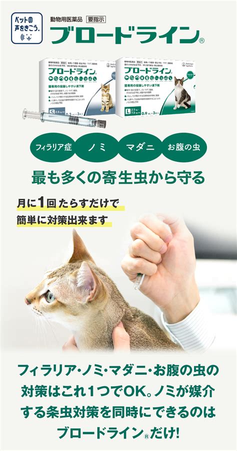 ブロードライン【猫専用】フィラリア症予防・ノミ・マダニ、お腹の虫の駆除薬｜ノミダニフィラリアcom 猫 ペット 動物