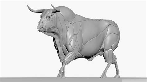 Stier Animiert 3d Modell Turbosquid 1808371
