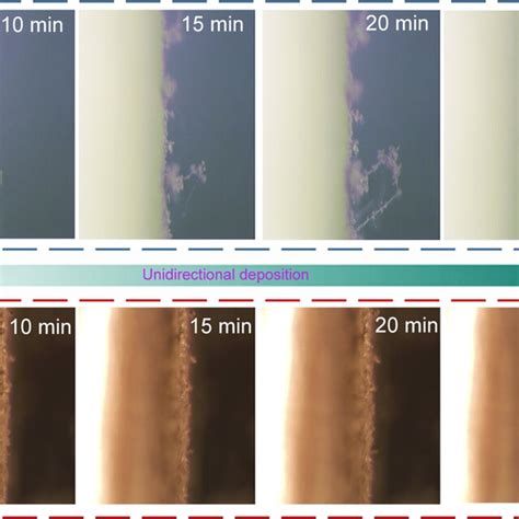 In Situ Depositional Morphology Of Lithium Metal In Li Li Symmetric Download Scientific Diagram