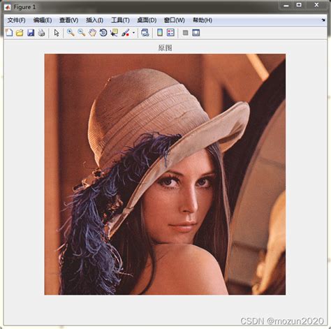 Matlab小技巧（3）otsu二值化分割算法ip1图像处理 Csdn专栏