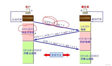 Tcp Udp Wireshark Tcp Csdn