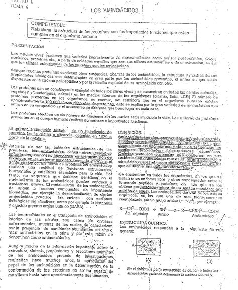 Aminoacidos Bioquímica Studocu