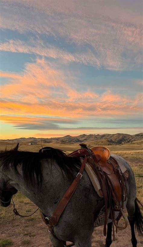 Western Aesthetic Western Ranch Photography Western Lifestyle