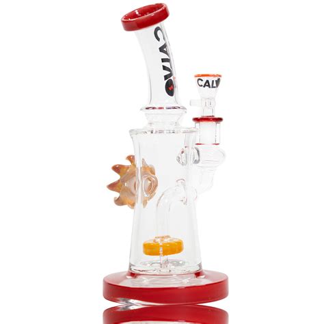 Eye Sun Rig Calvo Distribution