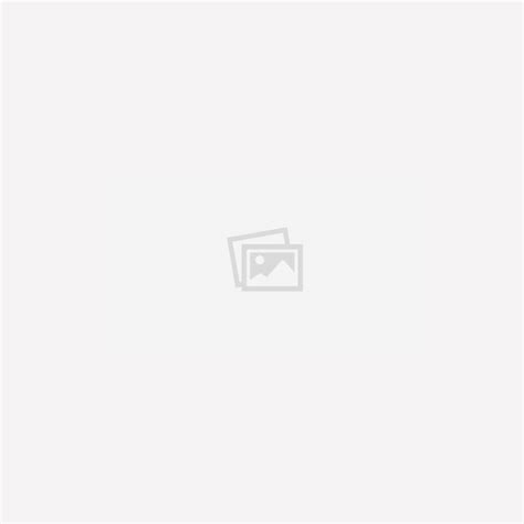 The Evolution And Conservation Of The American Alligator