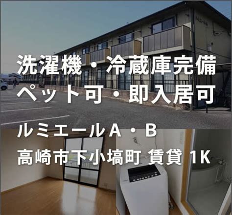ルアナ元総社 Luana Motosouja 前橋市元総社町 新築rcマンション 1ldk〜3ldk