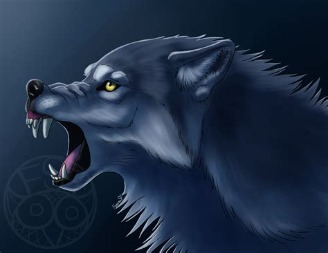 Anime Angry Wolf Drawings