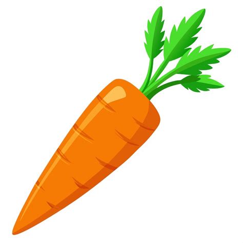 Clipart Karotte Vektoren Lade Kostenlose Hochwertige Vektoren Von