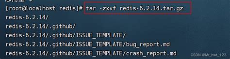 linux系统redis安装及配置超详细 linux redis配置 csdn博客