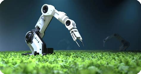 Получите грант на создание или развитие городских ферм Московский инновационный кластер