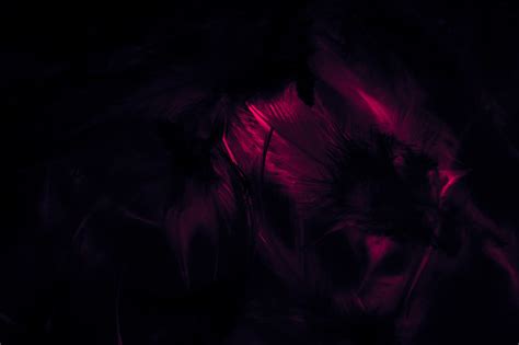 아름다운 클로즈업 텍스처 추상 화려한 어두운 검은 색과 분홍색 깃털과 어둠 패턴 깃털 벽지 및 배경 및 예술 0명에 대한 스톡