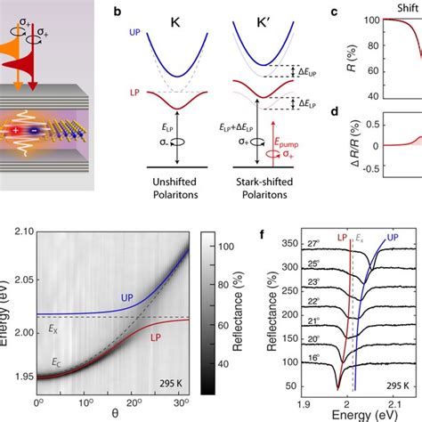 Pdf Valley Selective Optical Stark Effect Of Exciton Polaritons In A Monolayer Semiconductor