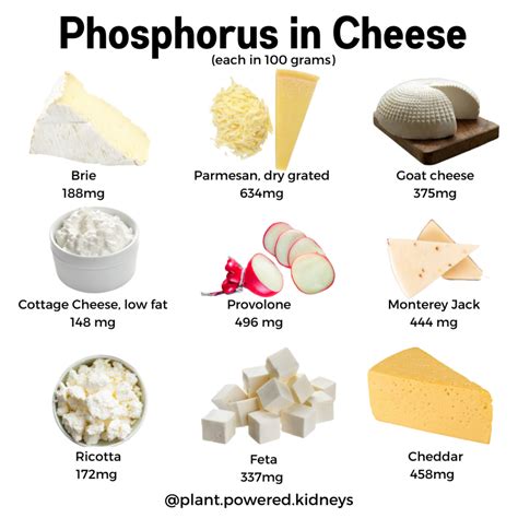 Is Cheese High In Potassium Protein Phosphorus And More