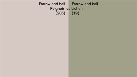 Farrow And Ball Peignoir Vs Lichen Side By Side Comparison