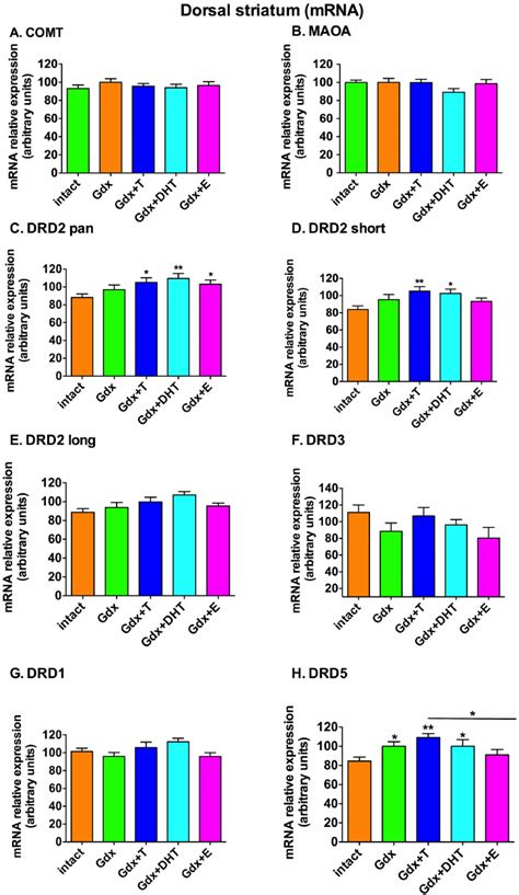 Effect Of Gonadectomy And Sex Steroid Replacement On Dopamine Metabolic