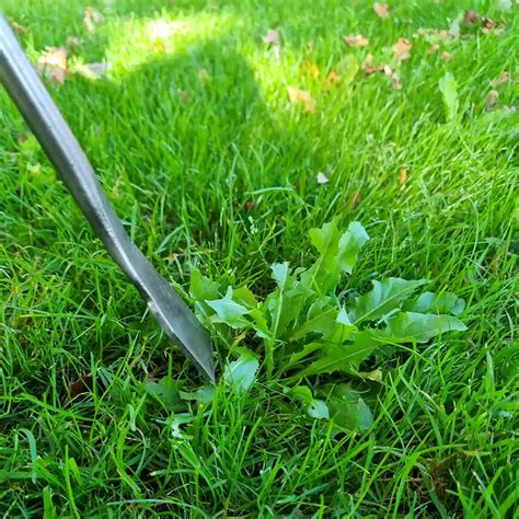 Rasenzubehör Matthies Landwirtschaft