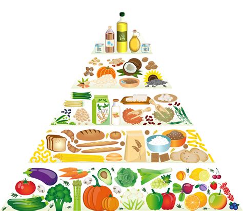 Hábitos saludables Salud enfermedades y nutrición