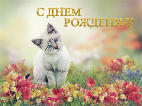 Нежные открытки с Днем рождения