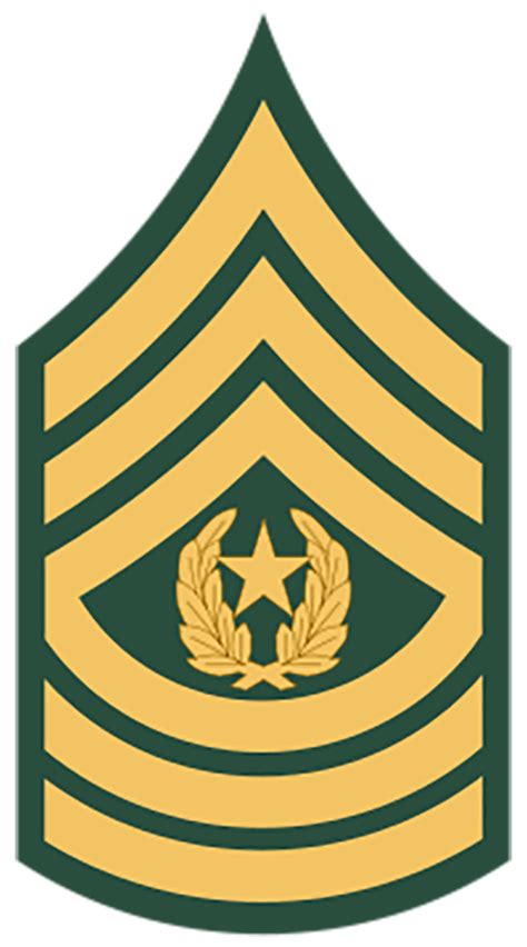 Army Command Sergeant Major Rank Insignia My Xxx Hot Girl