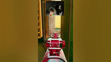 Is The Renneti Back Youtube