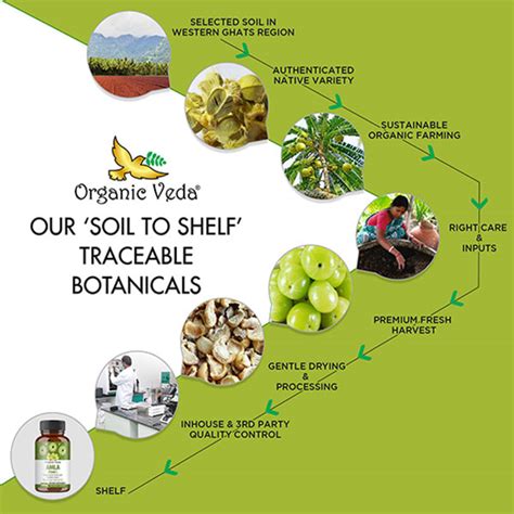 Buy Organic Veda Amla Vitamin C 2000 Mg Veg Capsule 120s Online At