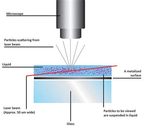Nanoparticle Tracking Analysis Nta Setup Malvern Instruments Ltd