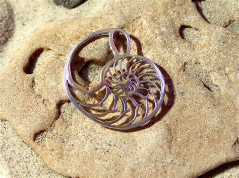 Nautilus Shell Symbol