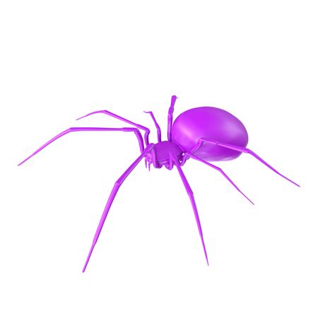 Spider Isolated On Transparent Background Png