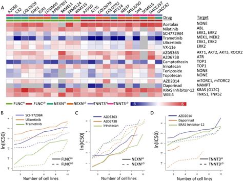 Tmb Related Gene Expression Is Reflective Of Drug Responses A
