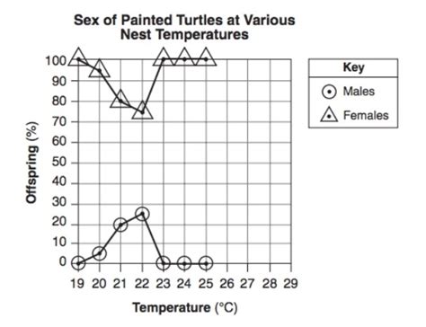 Graphing Diagram Quizlet
