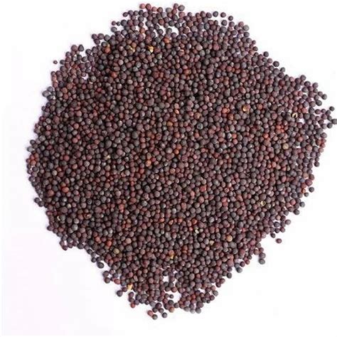 Black 10 Kg Mustard Seeds At Rs 850kg In Jodhpur Id 2852446453955