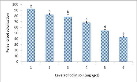 Percent Root Colonisation Of African Marigold By Glomus Mosseae At