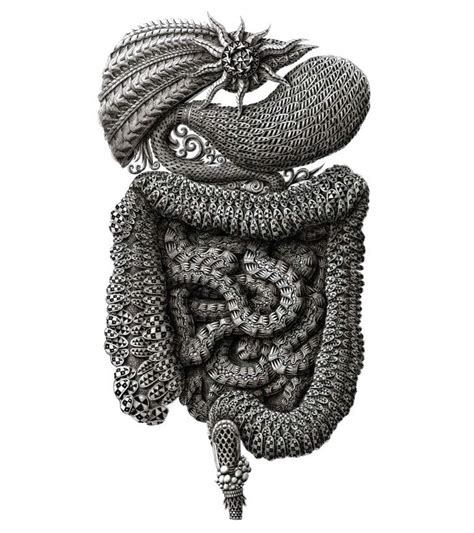 Intricate Ink Drawings Of Human Part XciteFun Net