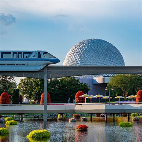 Walt Disney World In February Tips For Planning A Trip