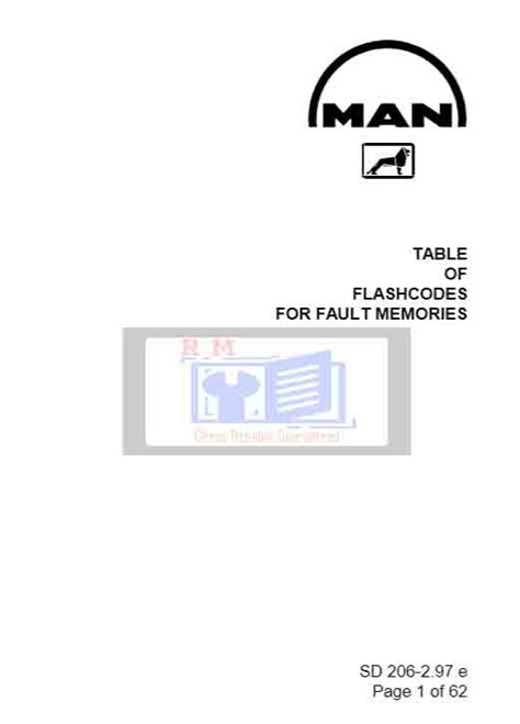 Man Table Of Flash Codes Explanations